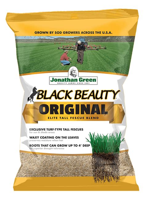 Best Turf Type Tall Fescue Grass Seed Jonathan Green