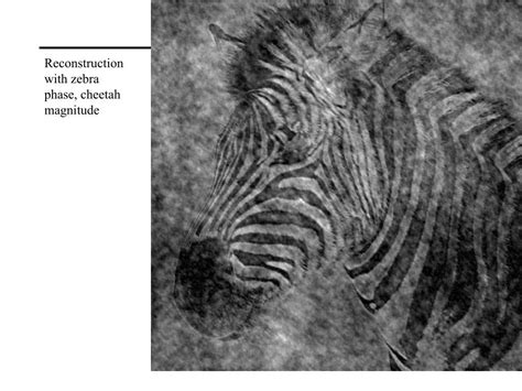 Ppt Fourier Analysis Powerpoint Presentation Free Download Id1461202 Ppt Fourier Analysis Powerpoint Presentation Free Download Id1461202