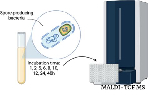 Implications Of Sample Preparation Methods On The Maldi Tof Ms