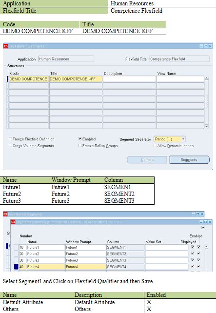 Oracle Applications Oracle Apps Core Hrms Functional Setups