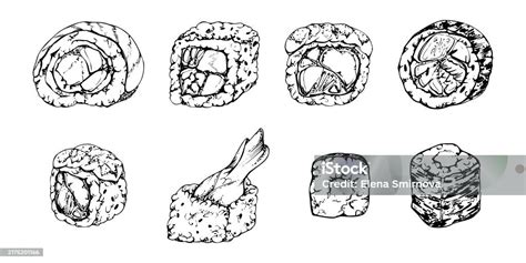 전통 일본 음식 캘리포니아 필라델피아 알래스카 스시 롤 생선 연어 장어 참치 새우 벡터 펜과 잉크로 손으로 그린 레스토랑 카페 메뉴 레시피 북을 위한 요소 세트 Unagi
