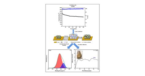 Synergistic Double Cross Linked Dynamic Network Of Epoxidized Natural Rubber Glycinamide