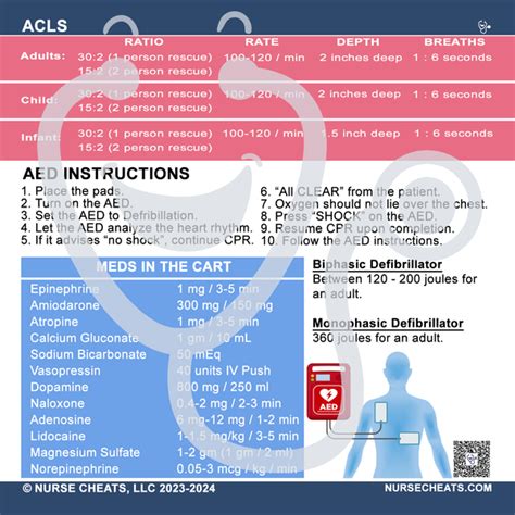Acls Algorithm Badge Cheat