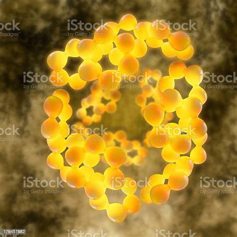 배부른 세포 3d 렌더링됨 일러스트 3차원 형태에 대한 스톡 사진 및 기타 이미지 3차원 형태 Bmi Organized