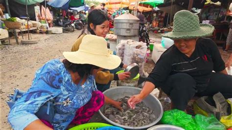 ដំណើរទៅស្រុកខ្មែរ ២០២៤ Cambodia 2024 Episode 9 Youtube