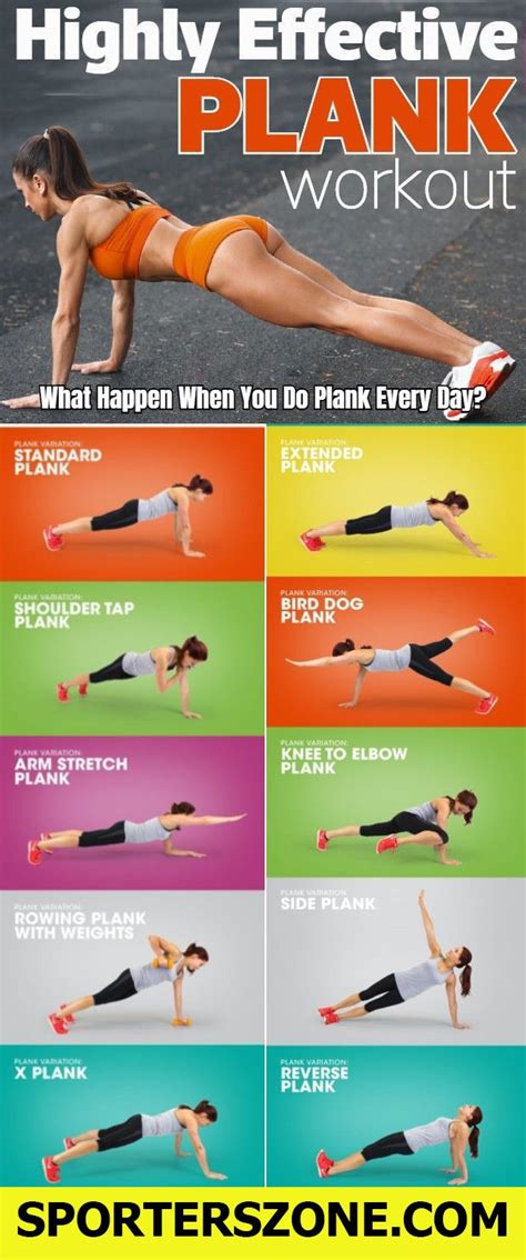 🍓highly Effective Plank Plank Workout Workout For Beginners Workout