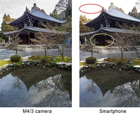 Why Sensor Sizes Matter Photo Review