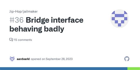 Bridge Interface Behaving Badly · Issue 36 · Jip Hopjailmaker · Github