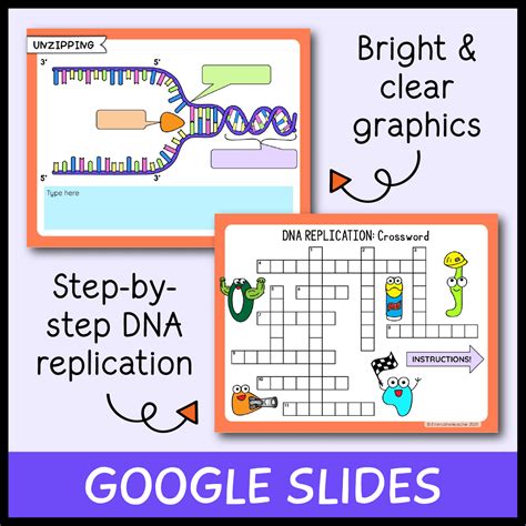 Dna Replication Bundle Emmatheteachie