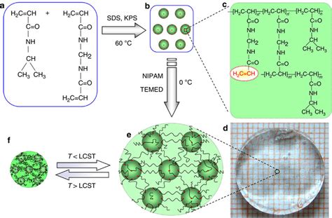 Hydrogel Schematics With Nano Structured Architecture A Chemical