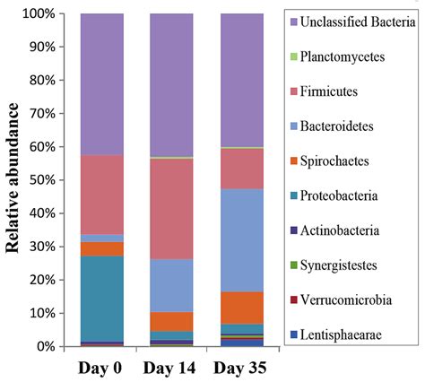 Phylum Level Classification Of Bacterial Diversity And Community