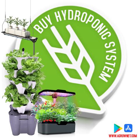 🛒 Buy Hydroponic System A Green Revolution Choosing The Right
