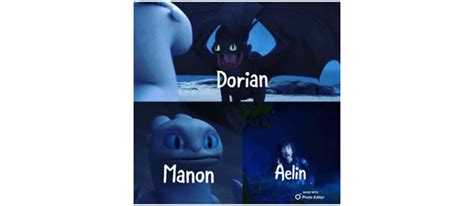 30 Throne Of Glass Memes Because I Can Part 2 Antonia Bernardin