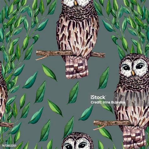 수채화 매끄러운 패턴 올빼미와 흰색 배경에 격리된 녹색 잎이 있는 나뭇가지 어린이 디자인 엽서 포스터 및 인쇄를 위한 우드랜드 자연 삽화 보육 디자인을 위한 클립 아트