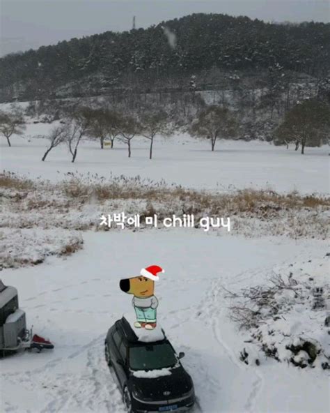 차박헌터 📍눈으로 뒤덮인 적하리 ️ 집 놔두고 옥천 적하리에 수년 내 최고의 눈이 내렸습니다 하얀 세상 차창 너머 펼쳐진 설경 그저 바라보는 것만으로 충분한