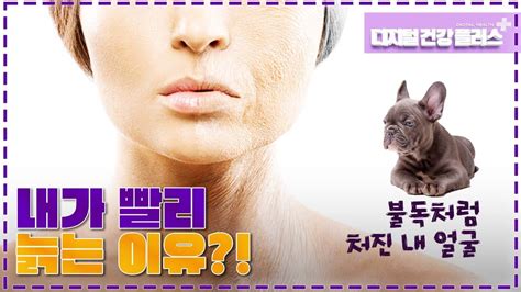 노화의 원인과 치료 방법 디지털 건강 플러스 Youtube