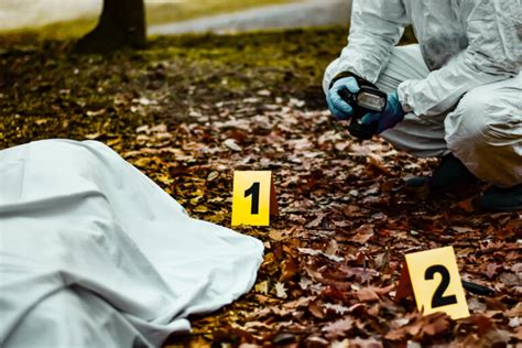 WA Science Done Different Particle