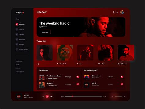 music streaming web app behance