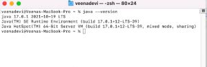 How To Build And Execute Selenium Projects LambdaTest