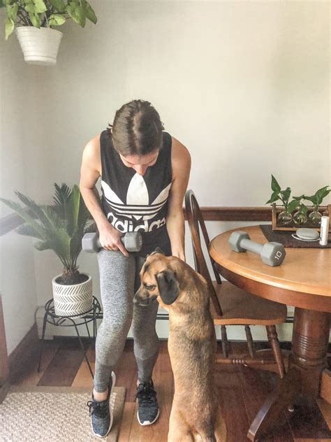 15 Minute Circuit Workout Full Body