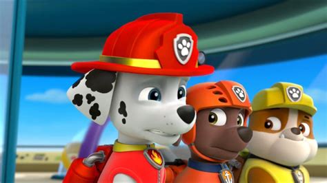 Paw Patrol Wallpapers Wallpaper Cave