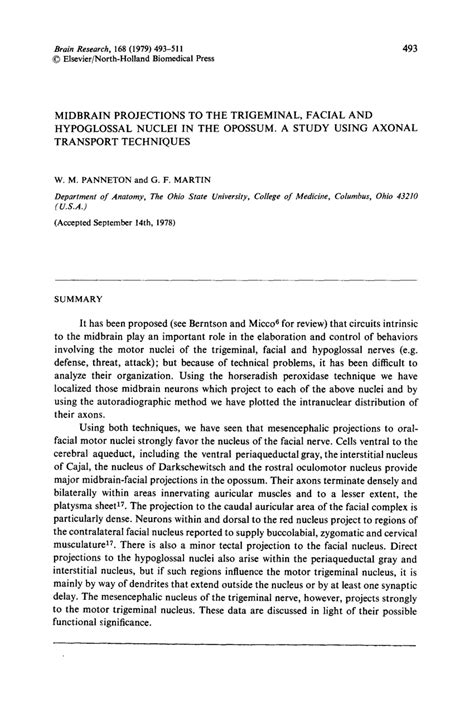Pdf Midbrain Projections To The Trigeminal Facial And Hypoglossal Nuclei In The Opossum A
