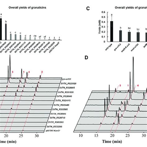 Selected Type Ii Polyketides And Their Biosynthetic Gene Clusters Download Scientific Diagram