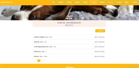 毕设选题推荐基于python的django框架宠物寄存领养系统 Csdn博客