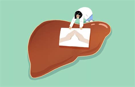 Gpt谷丙转氨酶升高就是患有肝硬化了吗？ 知乎