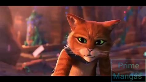 Kitty Patitas Suaves Relsotanodevlascko