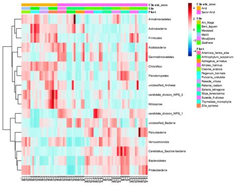 heatmap at phylum level clustering result shown as heatmap distance