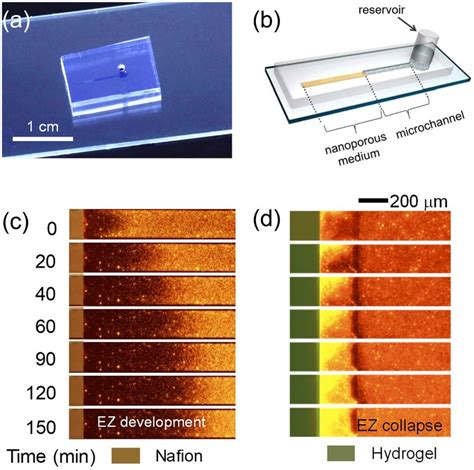 A The Photo Of An Assembled Microfluidic Chip And B The Schematics A The Photo Of An Assembled Microfluidic Chip And B The Schematics