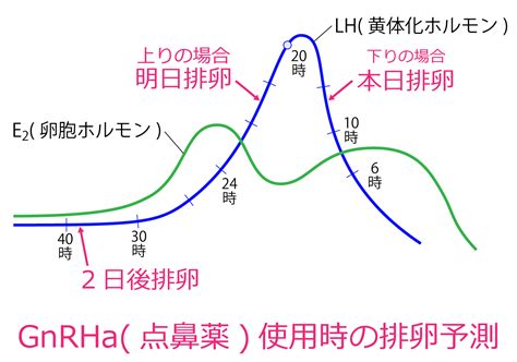 不妊治療検査 ｜ みたき総合病院 産婦人科〈三重県四日市市〉