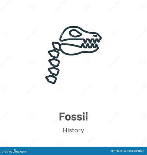 Fossil Outline Vector Icon Thin Line Black Fossil Icon Flat Vector