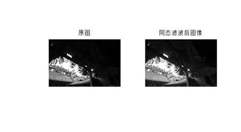 Matlab同态增晰图像增强【解析 部分源码】 知乎