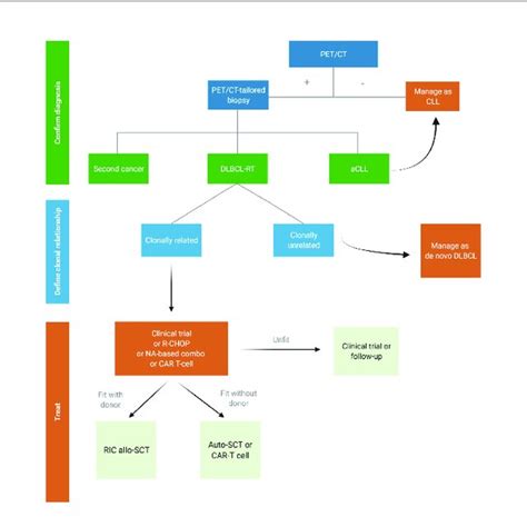 Proposed Algorithm For The Management Of Suspected Diffuse Large Download Scientific Diagram