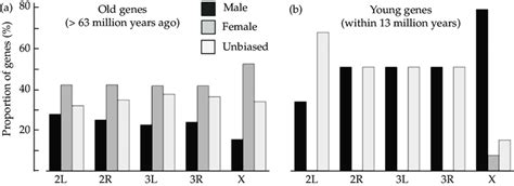 4 The Female Enrichment Of Genes In Drosophila As Shown In The Download High Quality