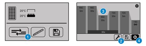 Bird Sexing Pcr Protocol Bento Lab