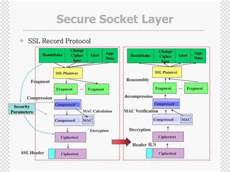 Unlock The Power Of Gigamon Ssl Decryption Comprehensive Datasheet