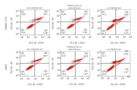 Rescue Experiment A Growth Curve Of Smmc 7721 Cells N 3 B