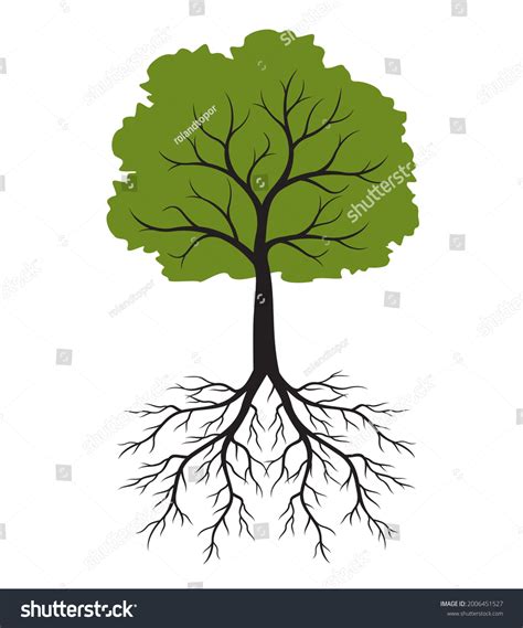 Shape Green Tree Vector Outline Illustration Stock Vector Royalty Free 2006451527 Shutterstock