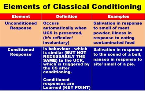 Classical Conditioning Model Example