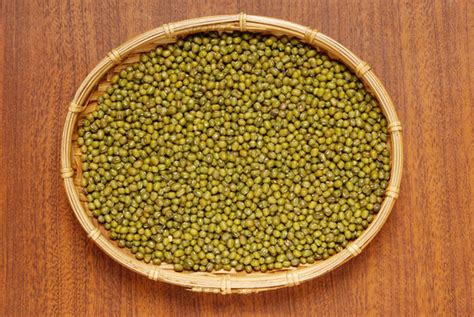 รูปภาพmonggo เลือกดูภาพถ่ายสต็อก เวกเตอร์ และวิดีโอ431 Adobe Stock