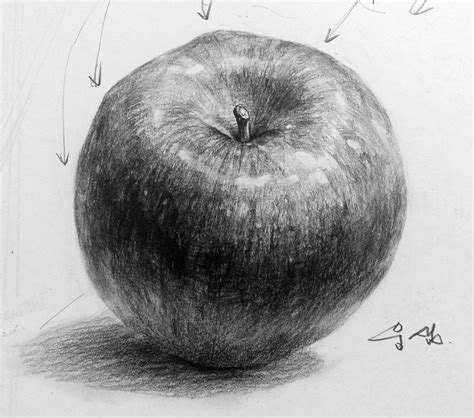 예중예고 엔파인미술학원 웅샘소묘 연필소묘 입시미술 사과그리기 Shading Drawing 3d Art Drawing