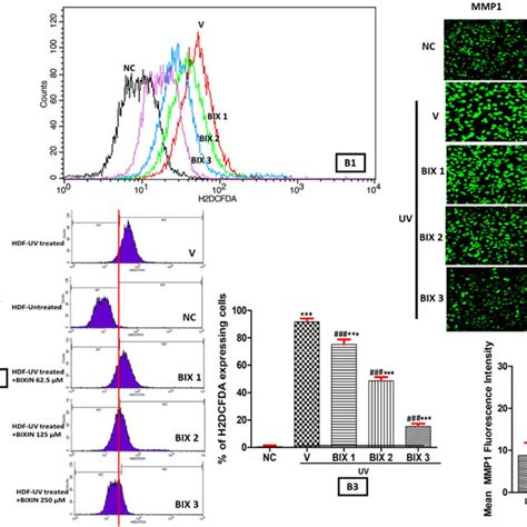 In Vitro Assays A Cell Viability Of Uv Treated Hdf Cells In The