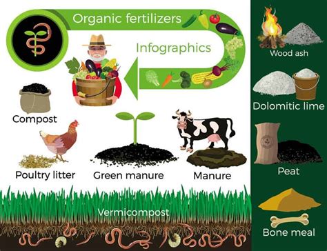 Organic Fertilizer Examples Mix It Up Homemade Organic Fertilizer