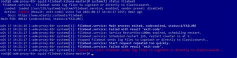 Filebeat Dont Start · Issue 12 · Molu8bitssquid Filebeat Kibana · Github