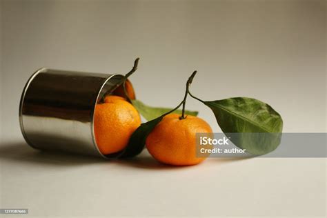 육즙이 많은 귤 주석 캔 근처에 녹색 잎이있는 신선한 귤 신선함과 비타민을 보존하는 통조림 과일의 개념 0명에 대한 스톡 사진 및 기타 이미지 Istock