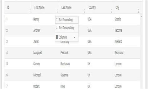 Extended Kendo Gridsmaftab93 Codecanyon For Kendo Menu Template Thevanitydiaries