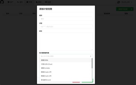 哪吒面板 哪吒探针 哪吒监控：域名反代异常和其他报错的解决方案 苍穹の下